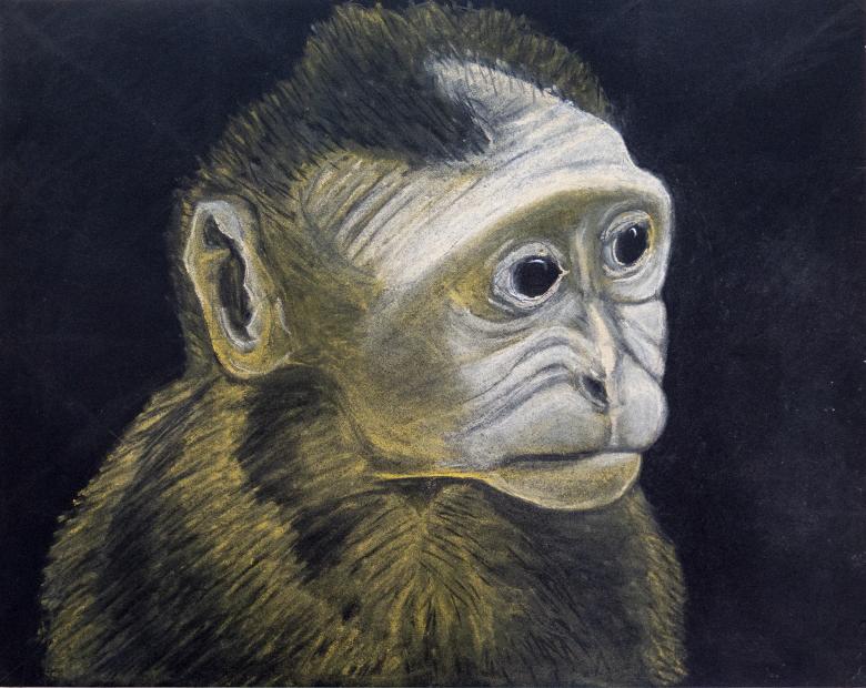 Eleni Mylonas | Françoise Heitsch